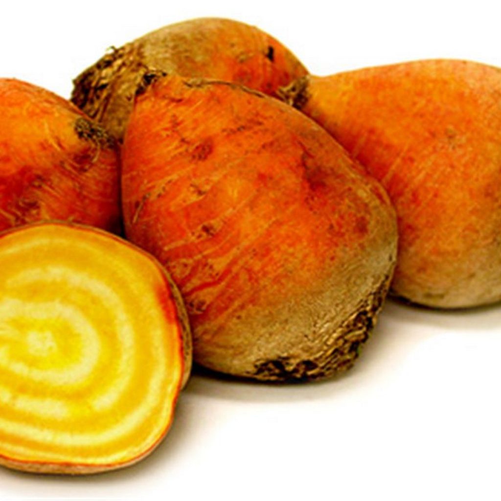 Burpee Golden Beet root – JandL seeds